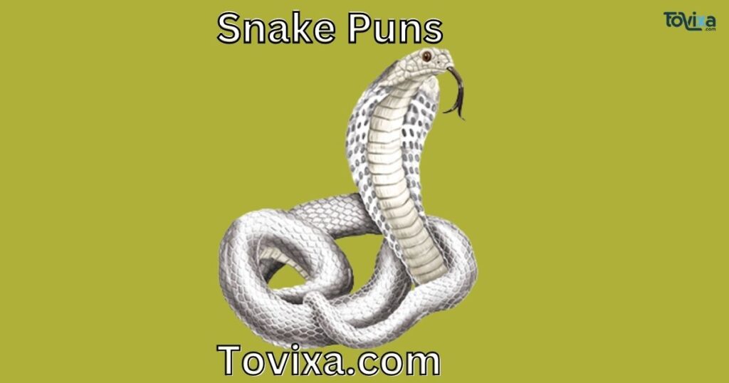 300+ Snake Puns and Jokes Let’s Coil Up and Laugh Together